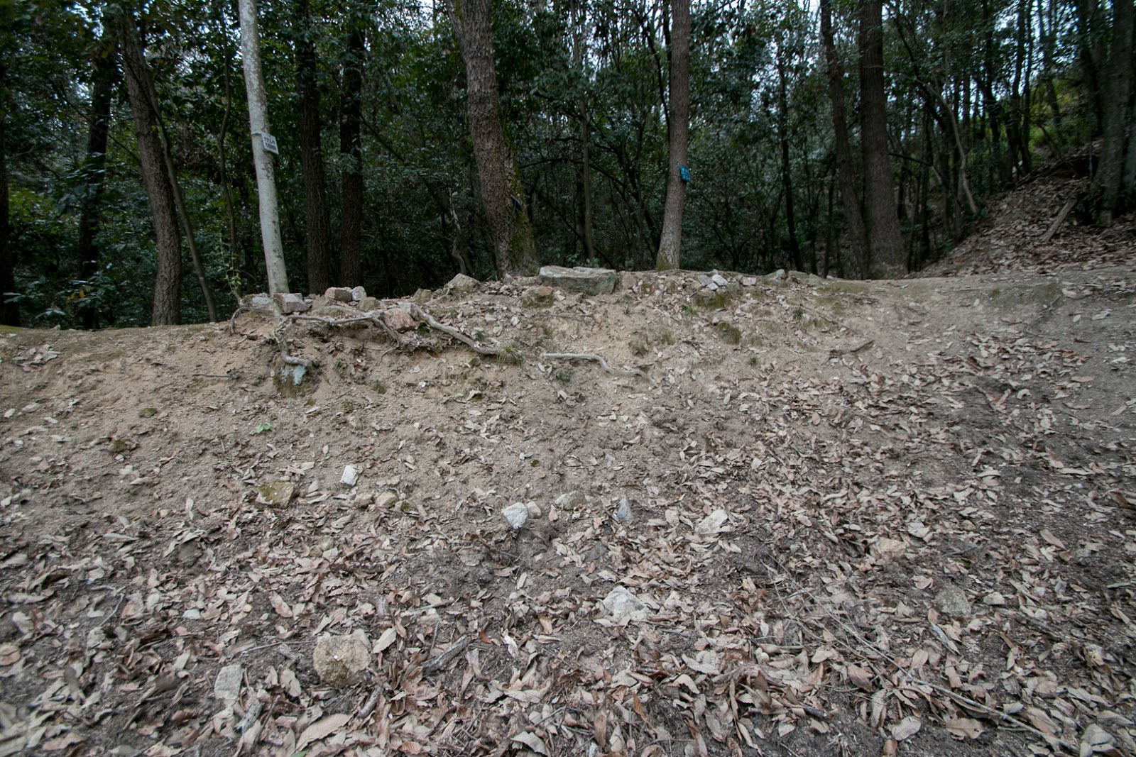 Niitakayama Castle -Intellectual pillar of Mouri clan (2)- | Japan ...