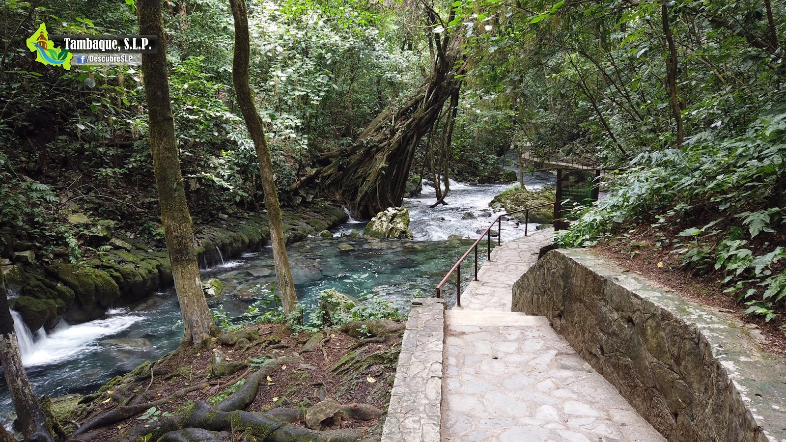 Descubre SLP: El Manantial de Tambaque