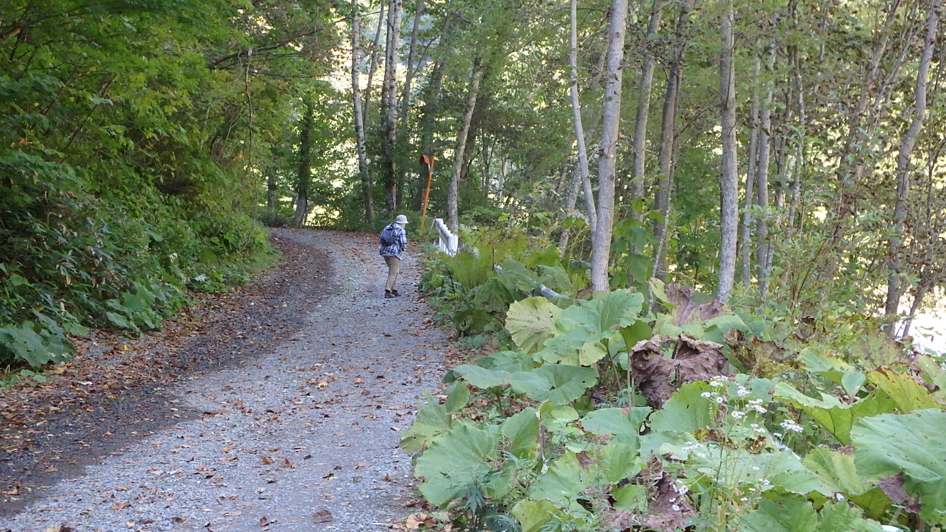 GO TO HEAVEN AND/OR HELL