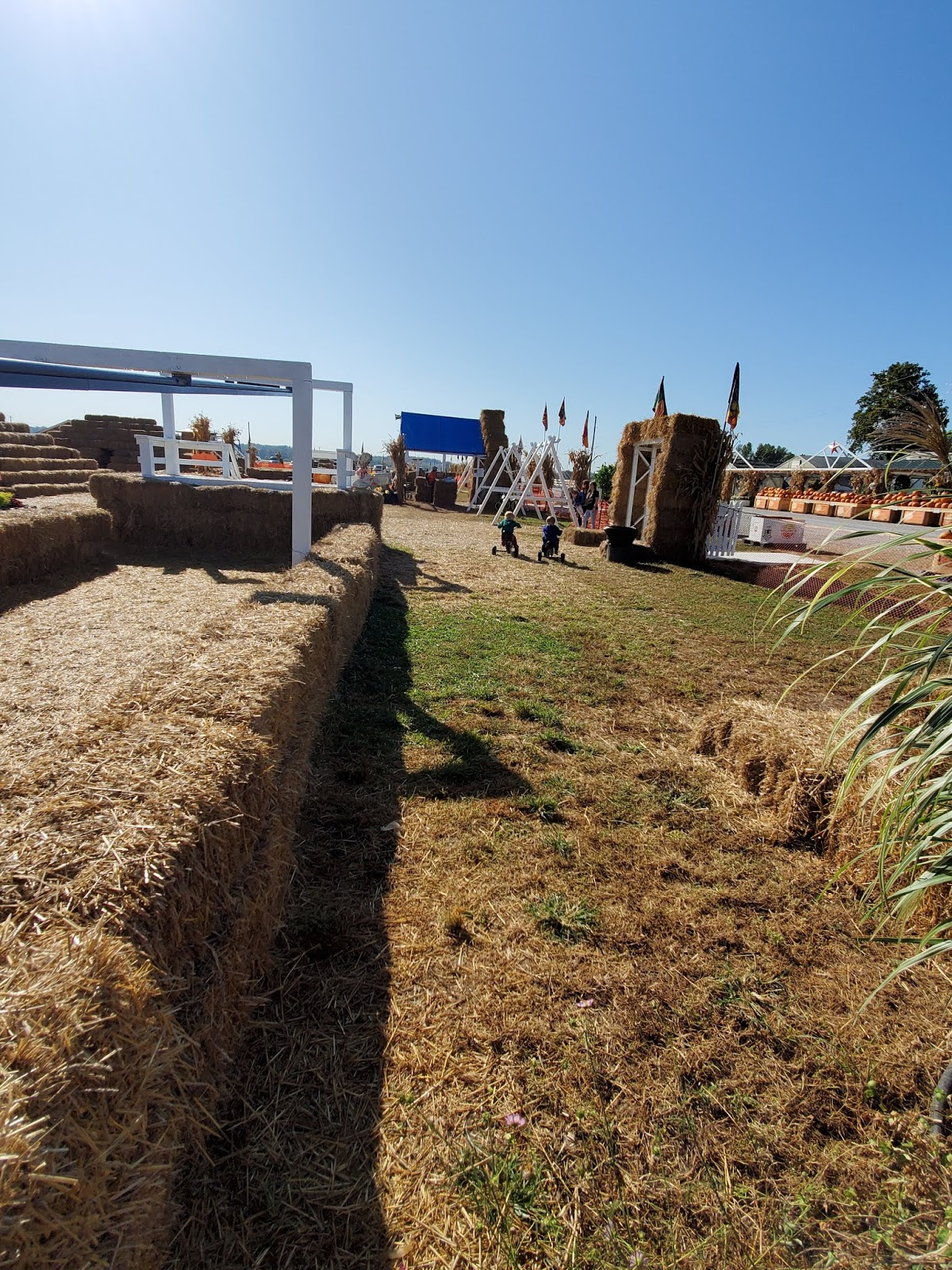 Play St. Louis: Thies Farm (Pumpkinland), Maryland Heights