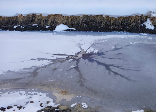 Fy Nyth...: Winter Wonders - Snowshoeing, Wildlife, Ice, and Snow