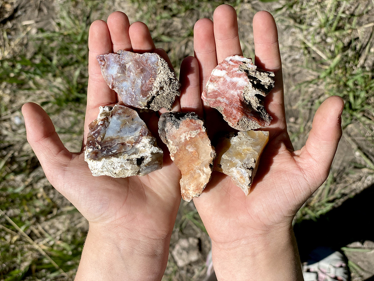 A school of fish: Polished Agate from Brian Head