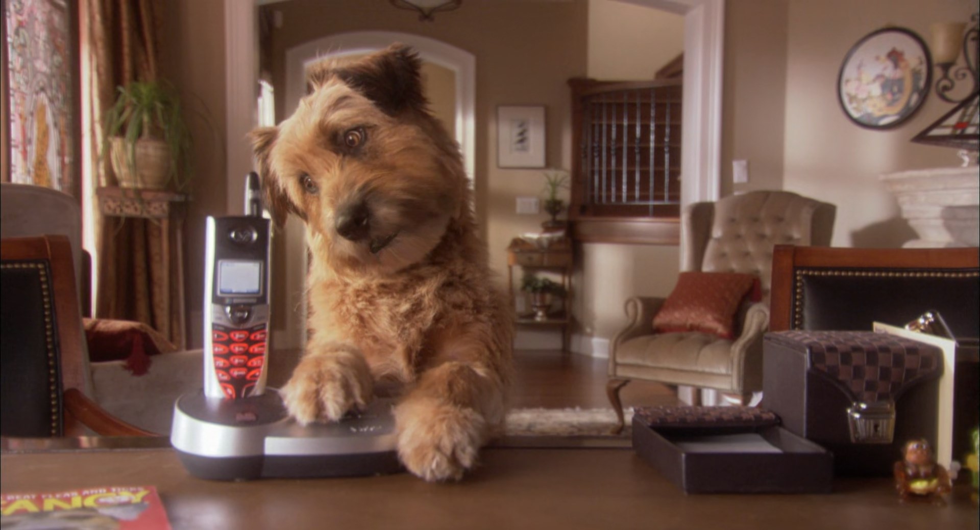 BliZZarraDas: Dr. Dolittle 3 (2006)