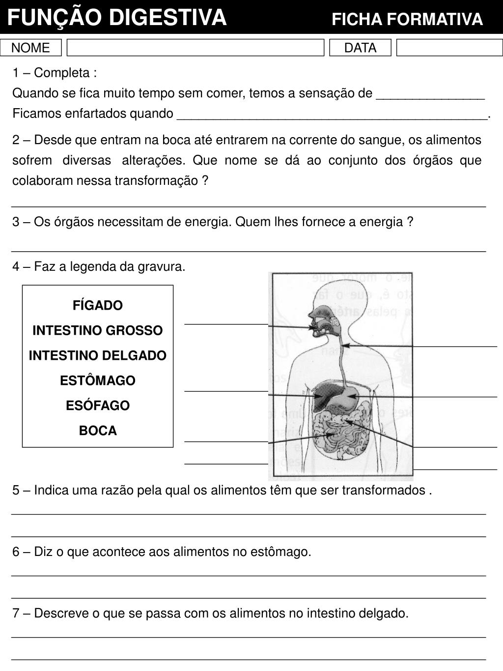 Corpo Humano ÓrgÃos Vitais E Suas FunÇÕes