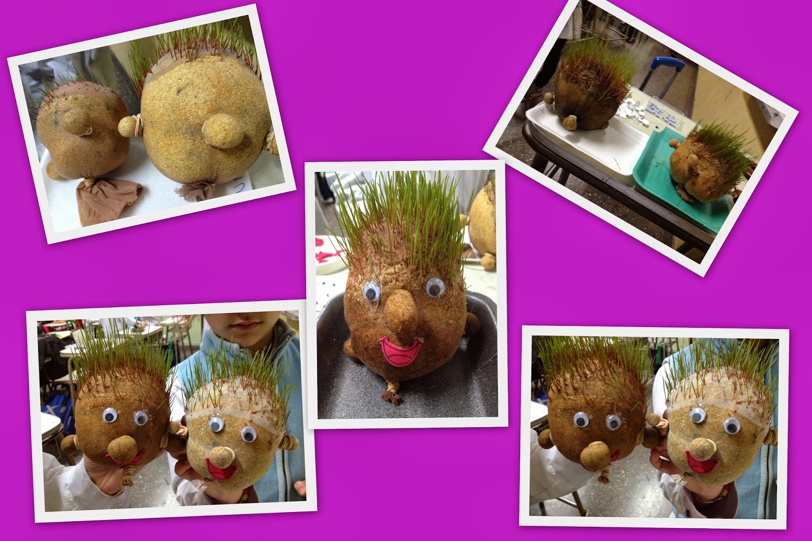 La Úrsula te cuenta: EN CIENCIAS...2º GRADO "B" HA TRABAJADO UN MONTÓN