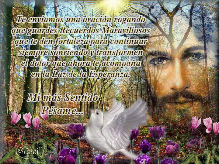 ® Santoral Católico ®: IMÁGENES DE MI SENTIDO PÉSAME