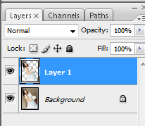 Pioner Media Computer: Teknik Menggunakan Filter pada Photoshop CS3