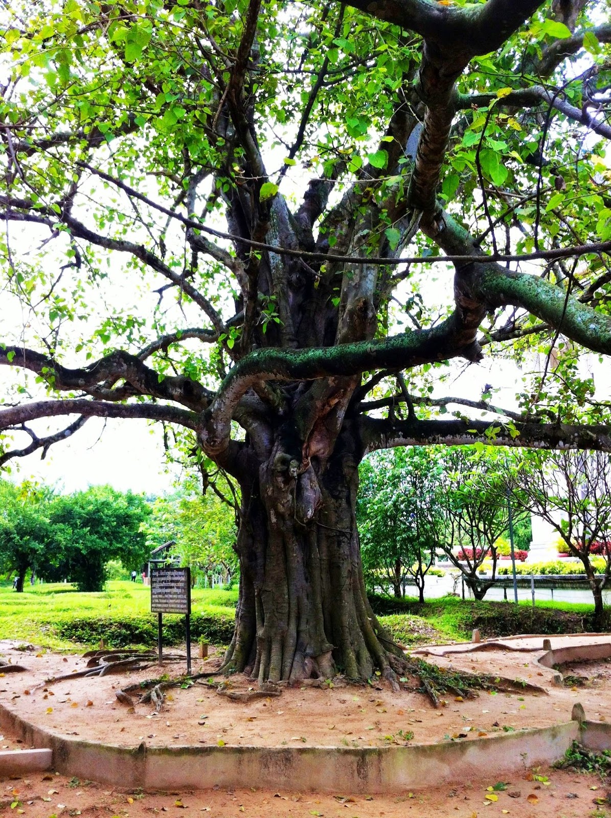 Travel Sabbatical: A Real Horror Story in Cambodia, The Khmer Rouge