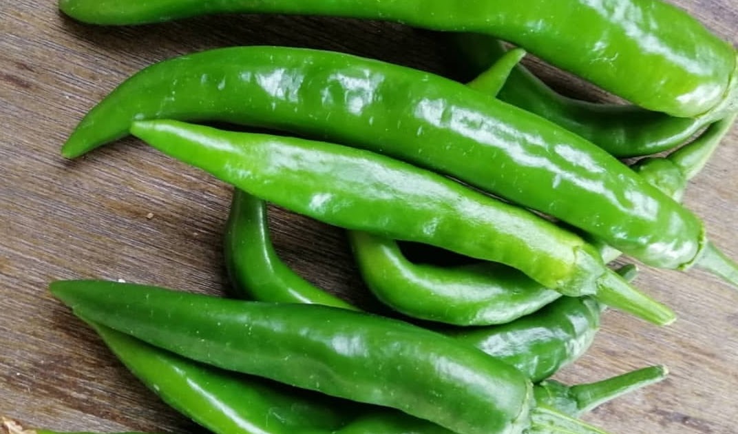 SUMBER ILHAM: KHASIAT CILI HIJAU UNTUK KESIHATAN