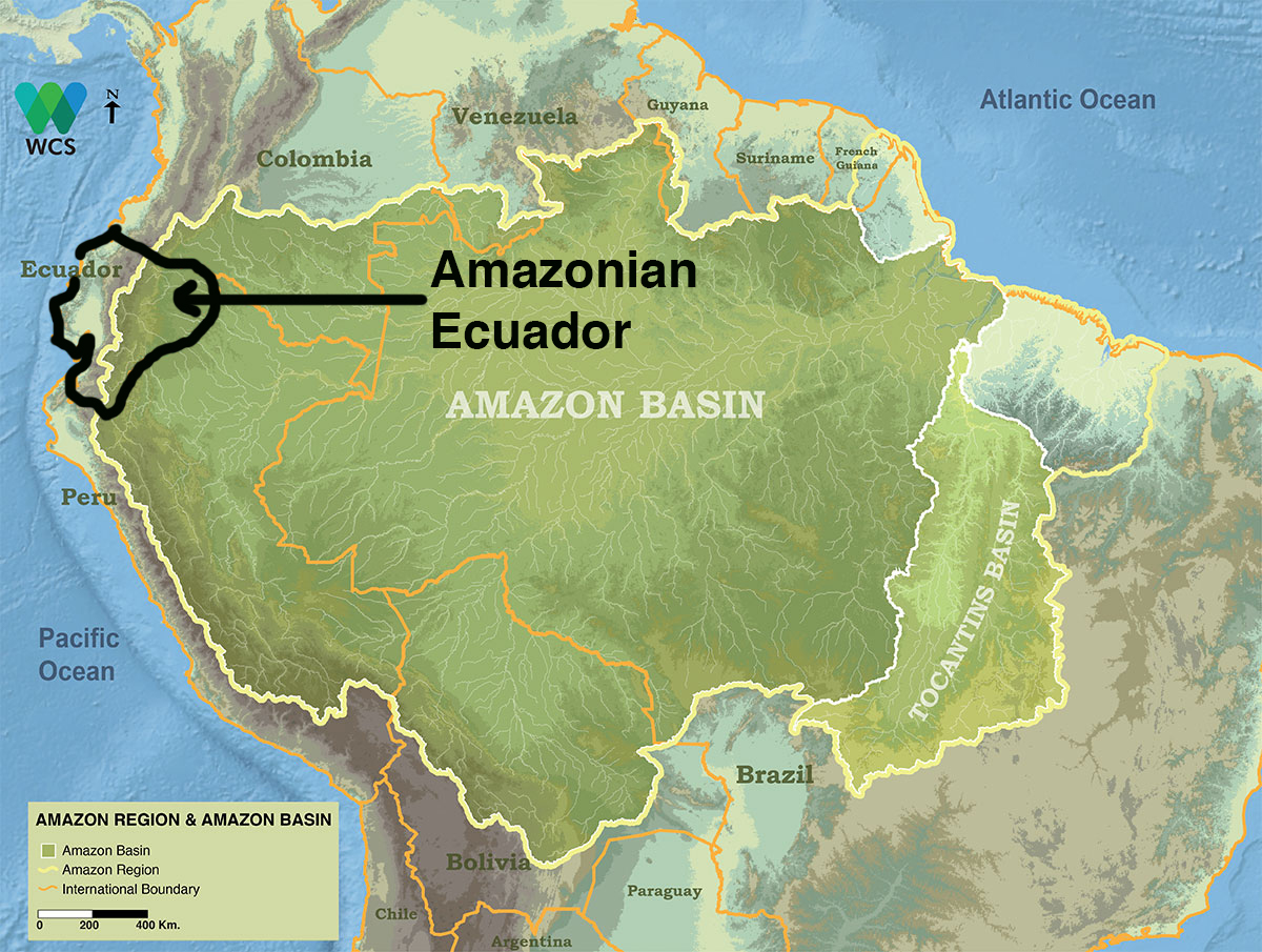 The Speckled Hatchback: Post #131 - Amazonian Ecuador and the Napo ...