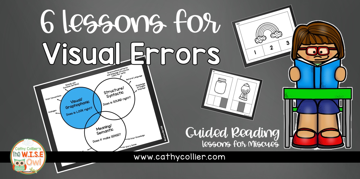 6 Mini Lessons for Visual Errors | The W.I.S.E. Owl