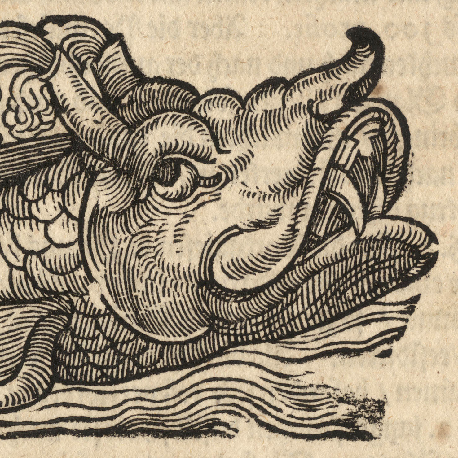 Prints and Principles: After Konrad Gesner’s woodcut, “Caspian Sea ...