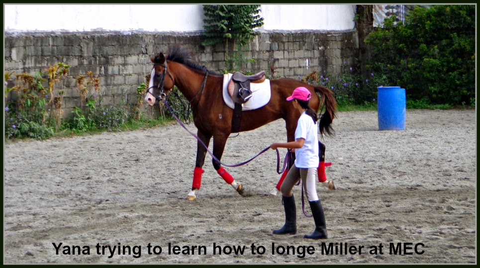 Horse Riding Philippines: Longeing Your Horse