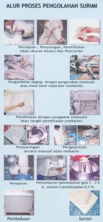 Resep Pembuatan Surimi - Total Food