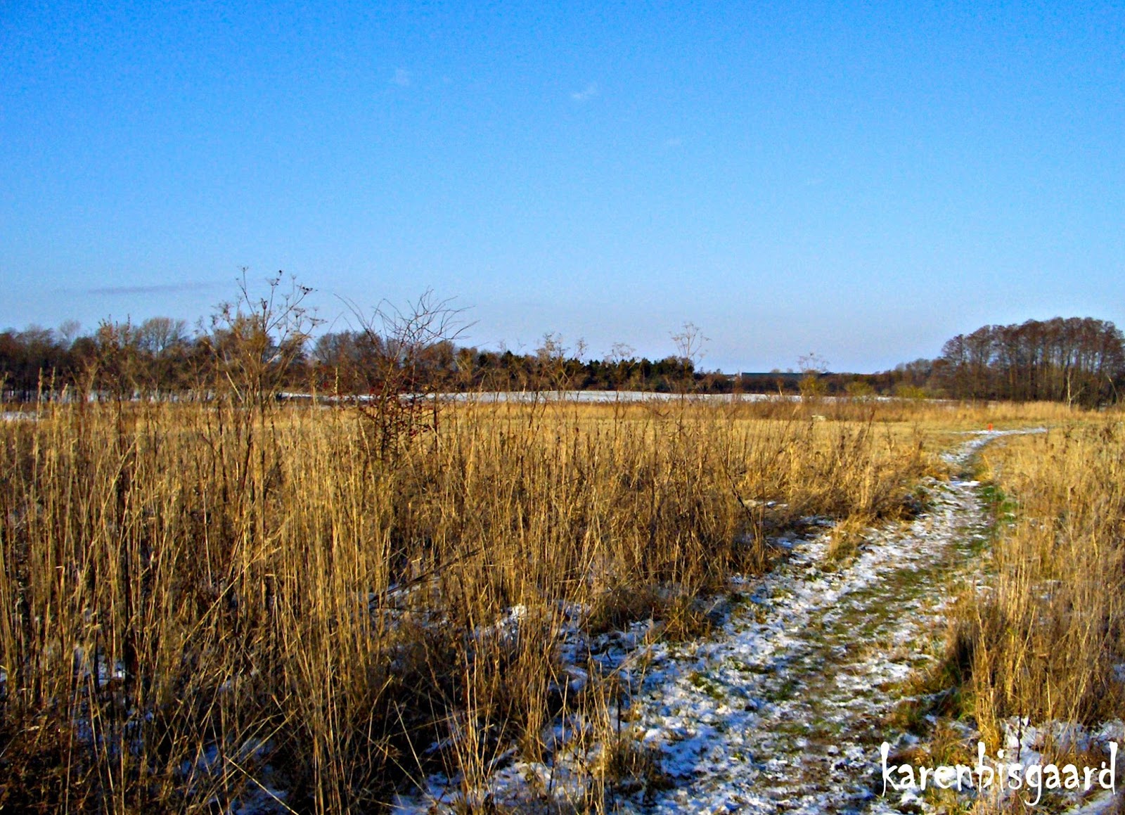 Karen`s Nature Photography: Snowy Grass Footpath Through Landscape.