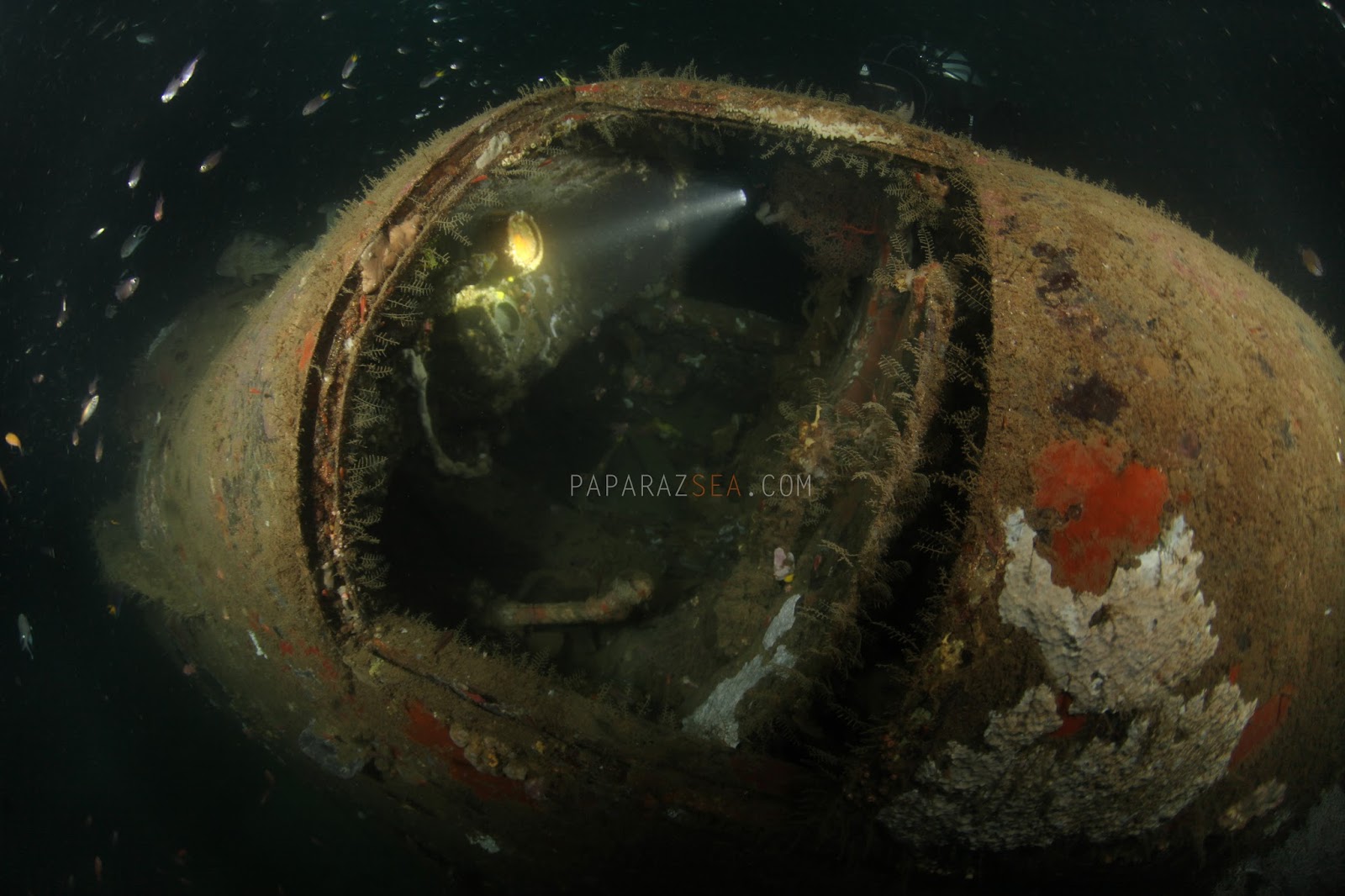 52 years later, Skyraider plane wreck is a delight to dive... its in ...