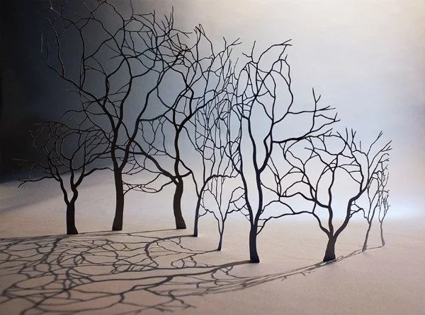 Papercutting - Geometric Designs Inspired by Nature