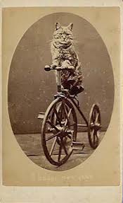 NOCTURNE IN G MAJOR: GALLERY OF RANDOM VICTORIANA