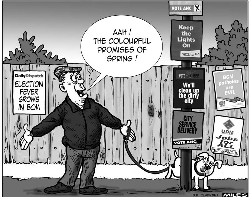 Cartoons by Miles: Showing their colours