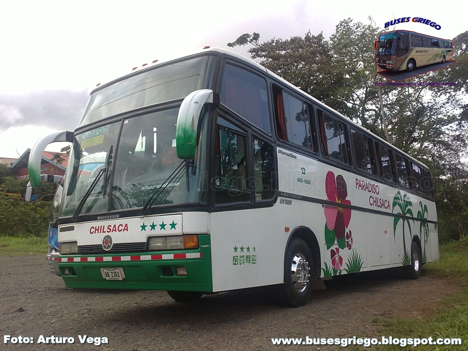 buses griego: GALERIA 44 (30/05/11)