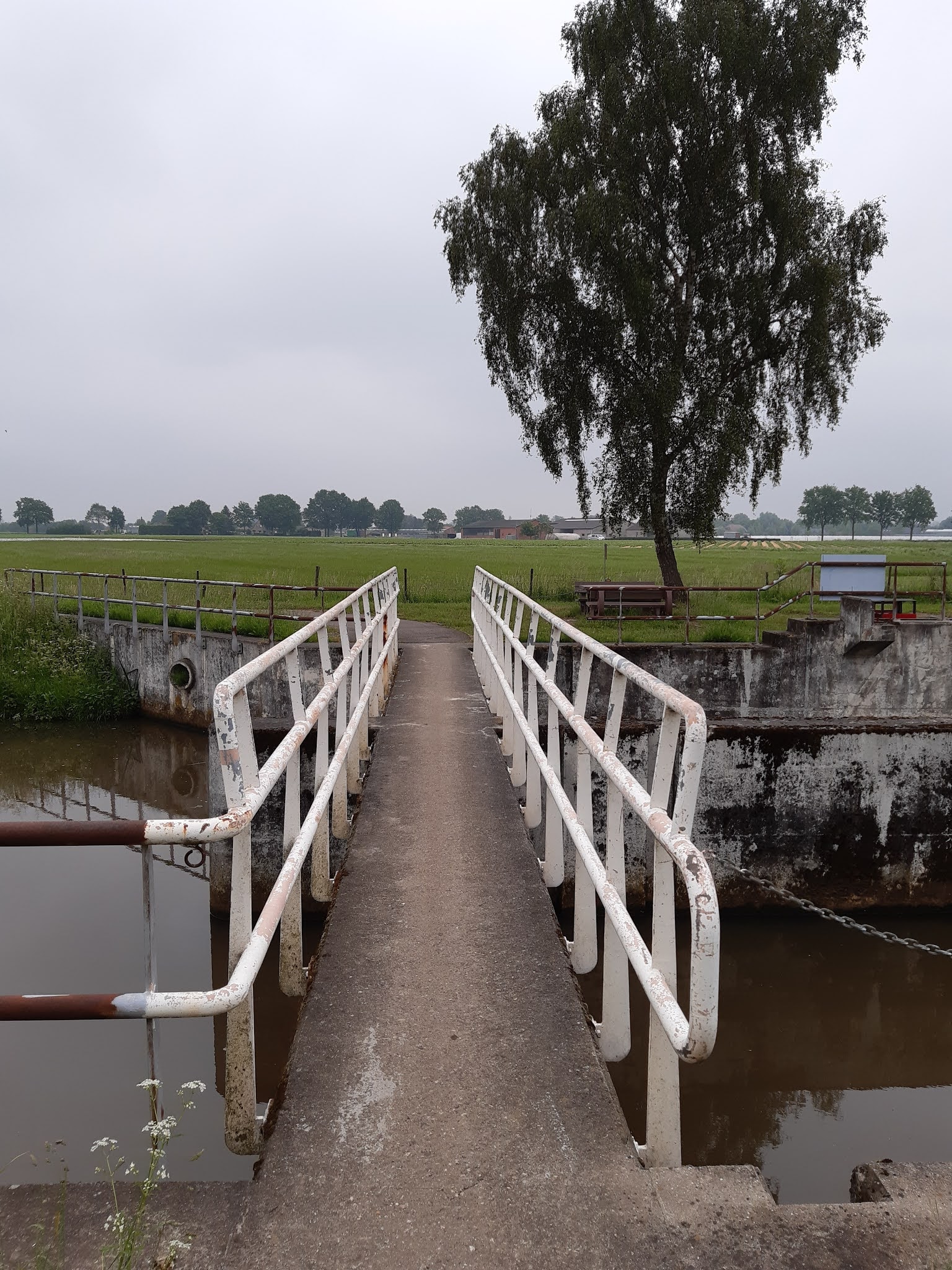 Walking Jeff: wandeling 2328 Meersel Dreef- Hoogstraten 18,5 km.