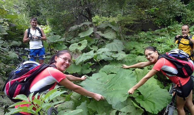 Toate Directiile: Olanesti - Cabana Cheia - Valea Cheii