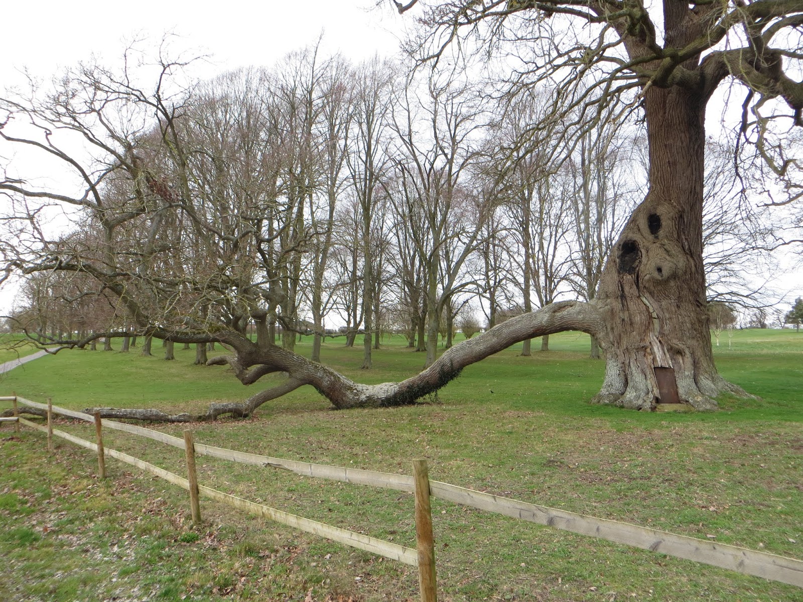 Walking Middle England: The Oxford Green Belt Way – Spring 2019