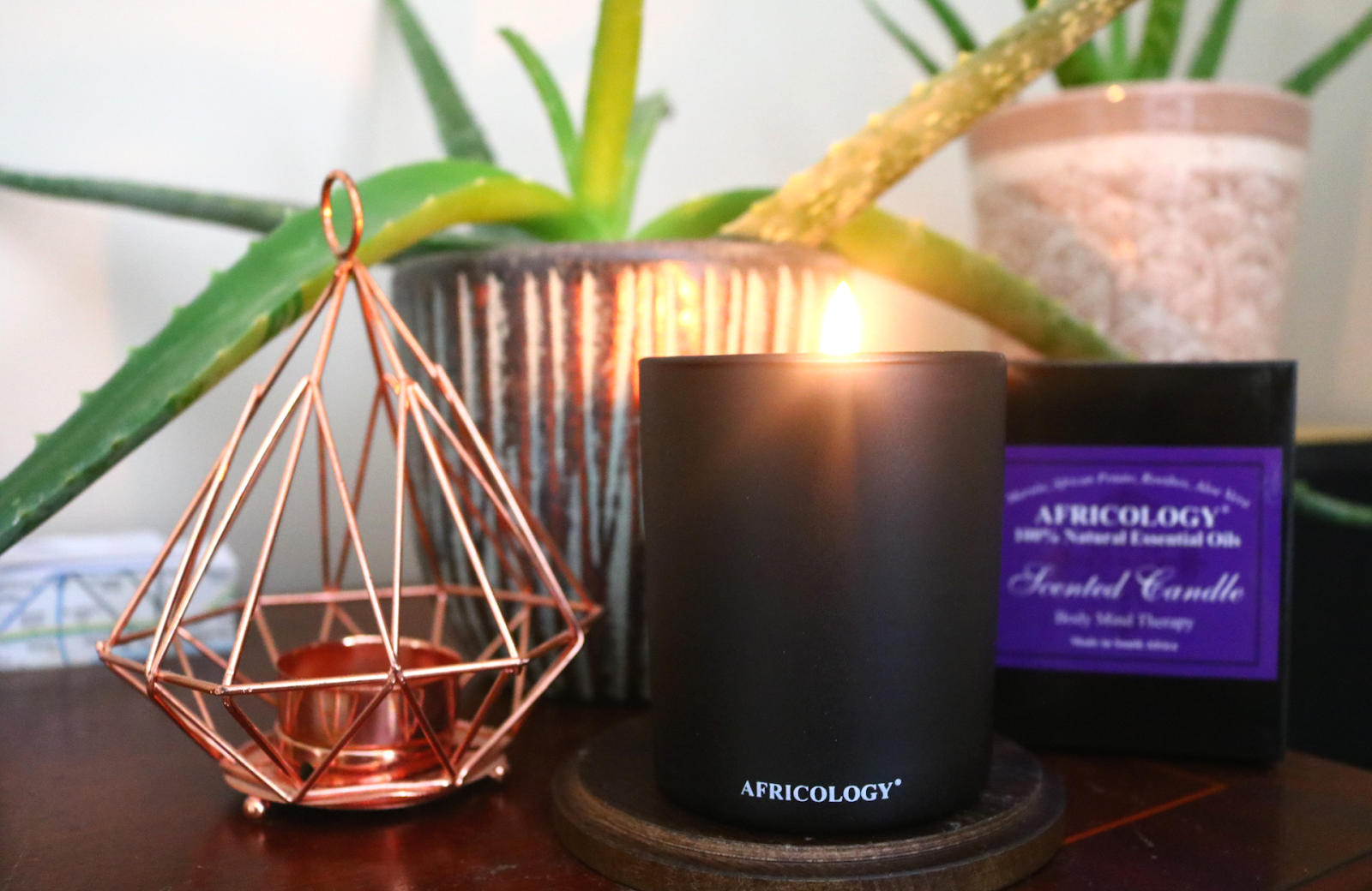 Home Fragrance: Africology Natural Scented Candle review | We Were ...