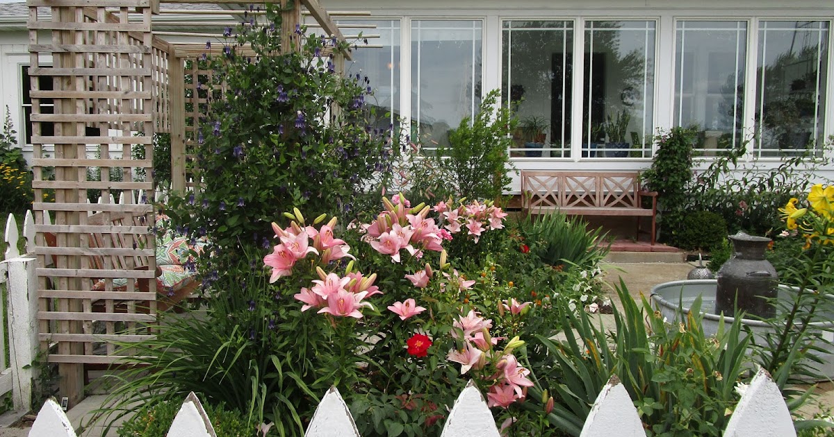 Garden Fancy: Lily Time!