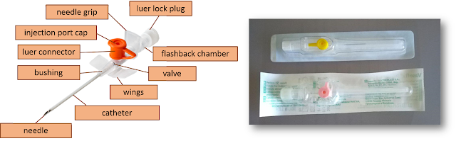 I.V. Cannula Sizes and Colors