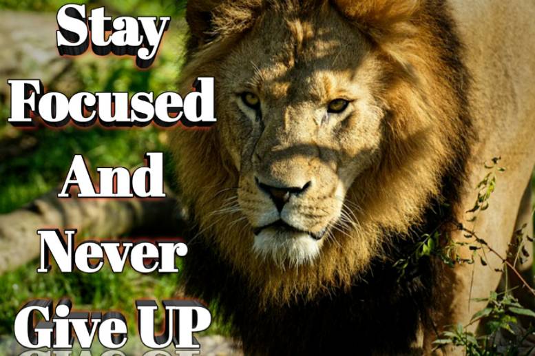 20+ best positivity meme for becoming a successful person in life