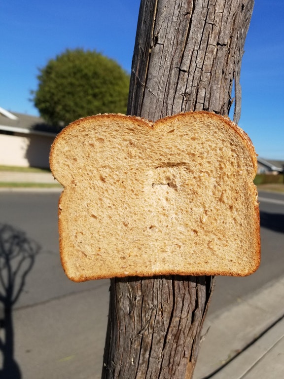 Man vs Internet: People Stapling Bread to Trees?????