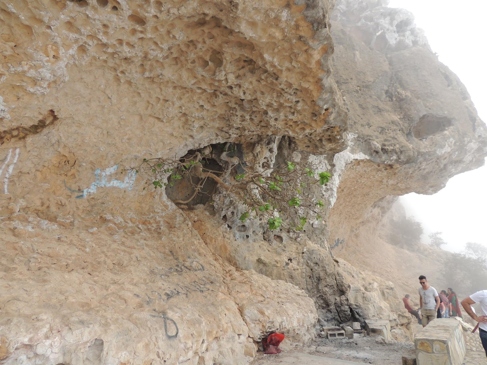 Salalah - Dhofar region in Sultanate of Oman: Jabal Samhan Nature Reserve