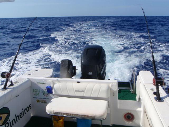 Pesca Brasileira : TIPOS E MODALIDADES DE PESCA MAIS PRATICADAS