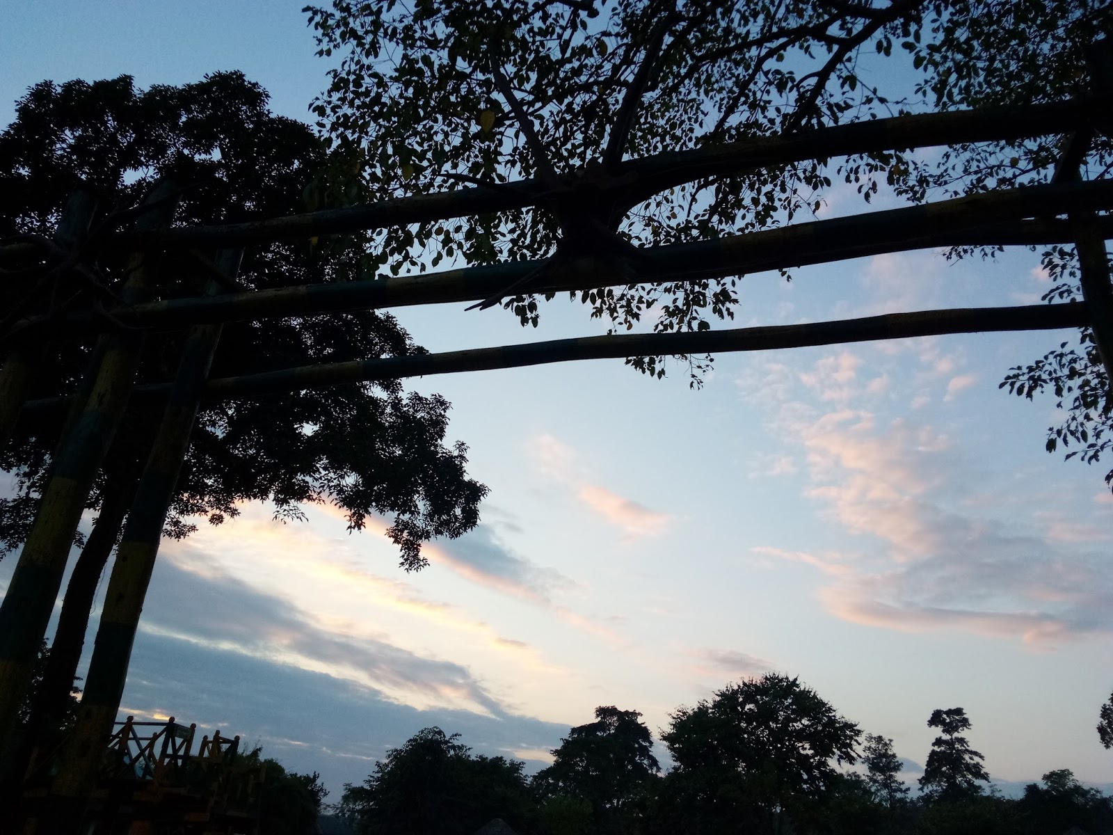 Beauty of Northbengal: Chalsa is a small town situated just on the foot ...