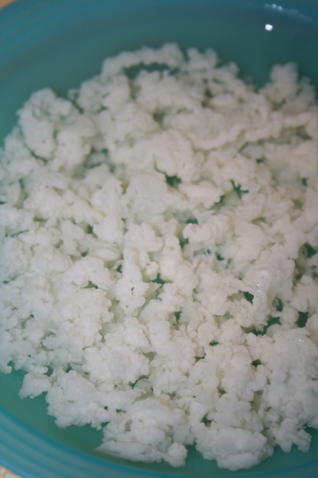 fele apa fele viz: Kefir de casa