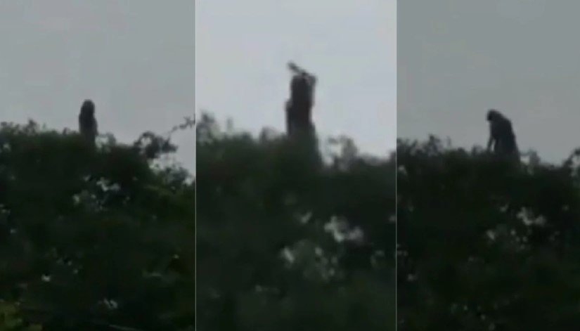 Watch: Crying Ghost ‘La Llorona’ Caught on Film in Colombia?