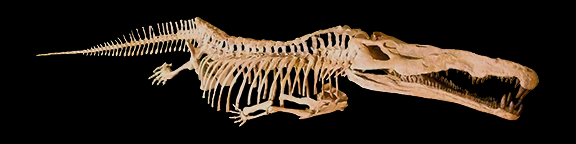 The Expeditioner's Discovery Guild: A little bit of Everything: Museums ...