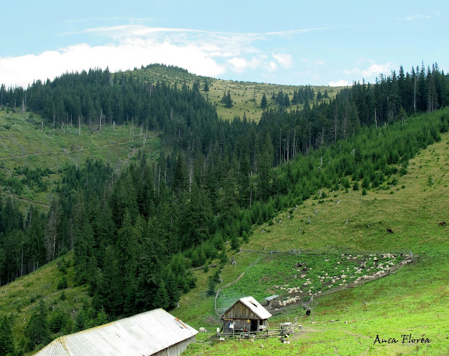 destinatiidevacanta.blogspot.com: Complex turistic Borşa - Telescaun