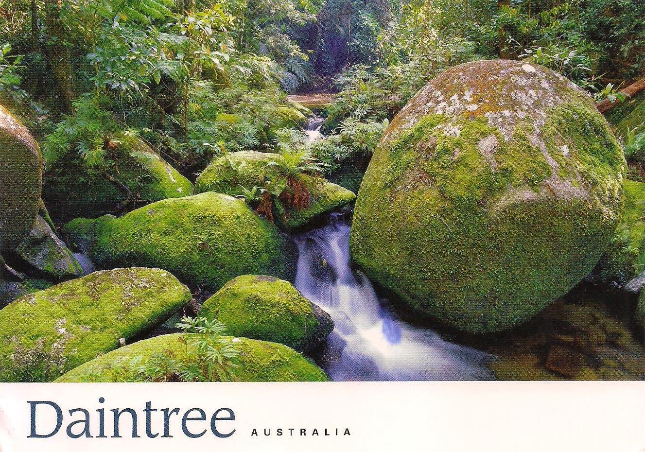 MY UNESCO WHS POSTCARDS COLLECTION: AUSTRALIA - Wet Tropics of Queensland