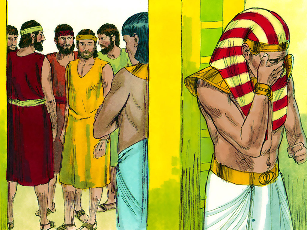 Artes: História de José