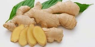 [ Tips Sehat ]: Jenis-Jenis Jahe dan Khasiatnya bagi Kesehatan