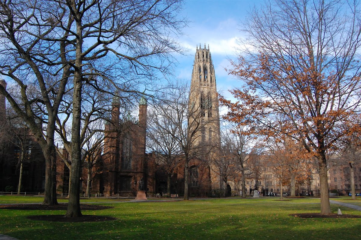 Bilbo from California: A visual diary: Yale University — Autumn 2012