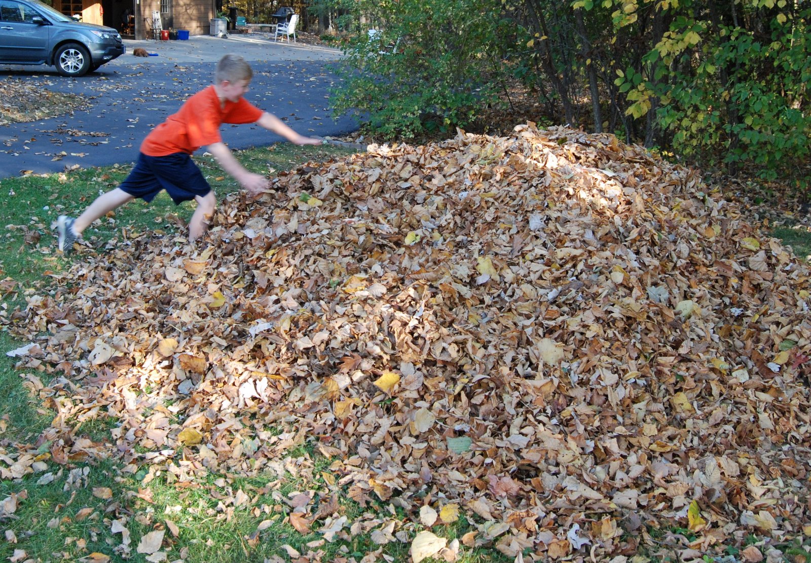 a blonde and 3 boys: Biggest Leaf Pile..EVER!