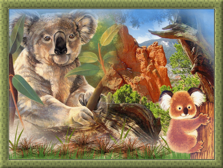 Netmajse: PSP side 6