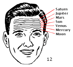 Signs On The Head - How to Read The Forehead ~ INDIAN PALMISTRY | PALM ...