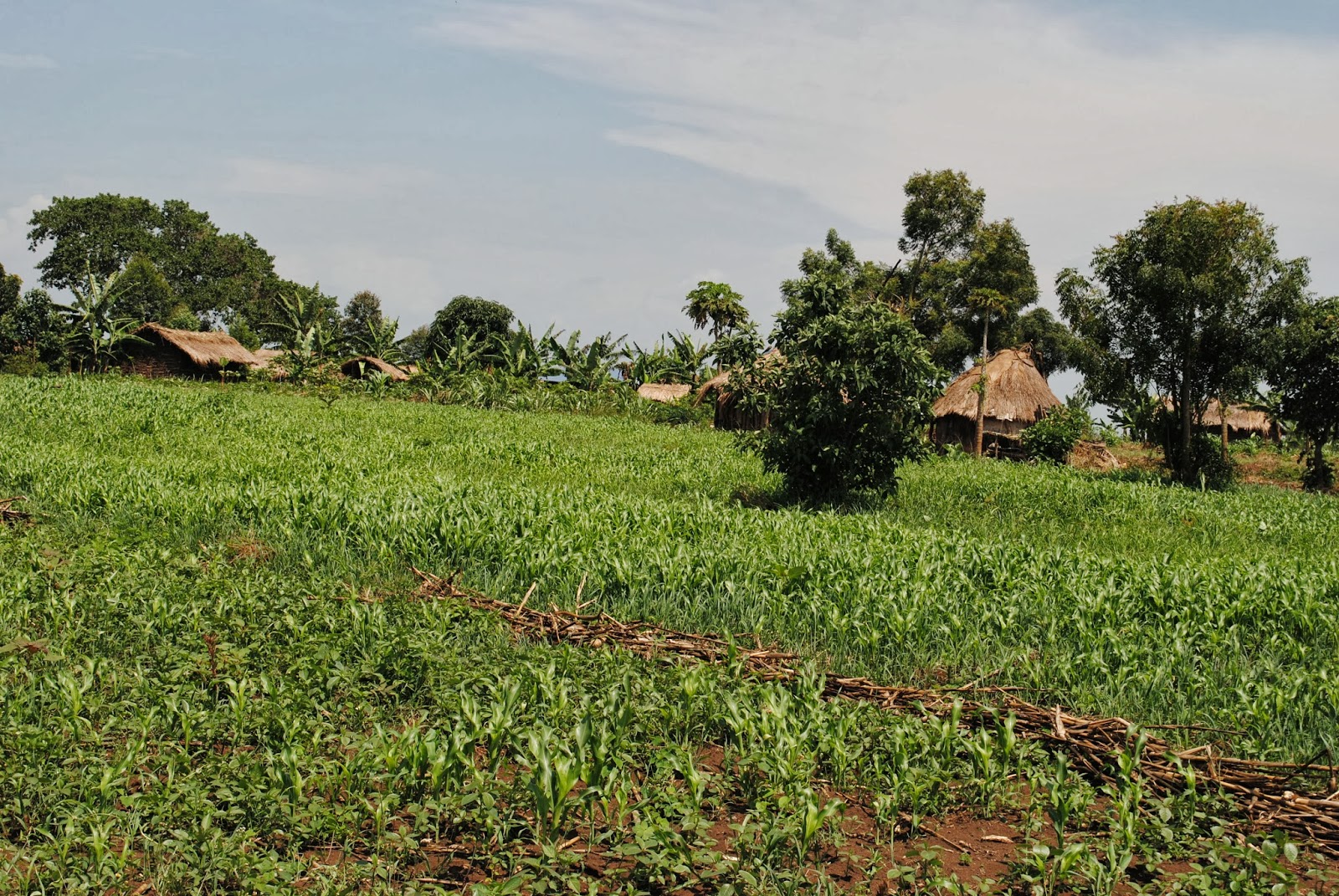 Hansens in Uganda: Kyangwali Refugee Camp