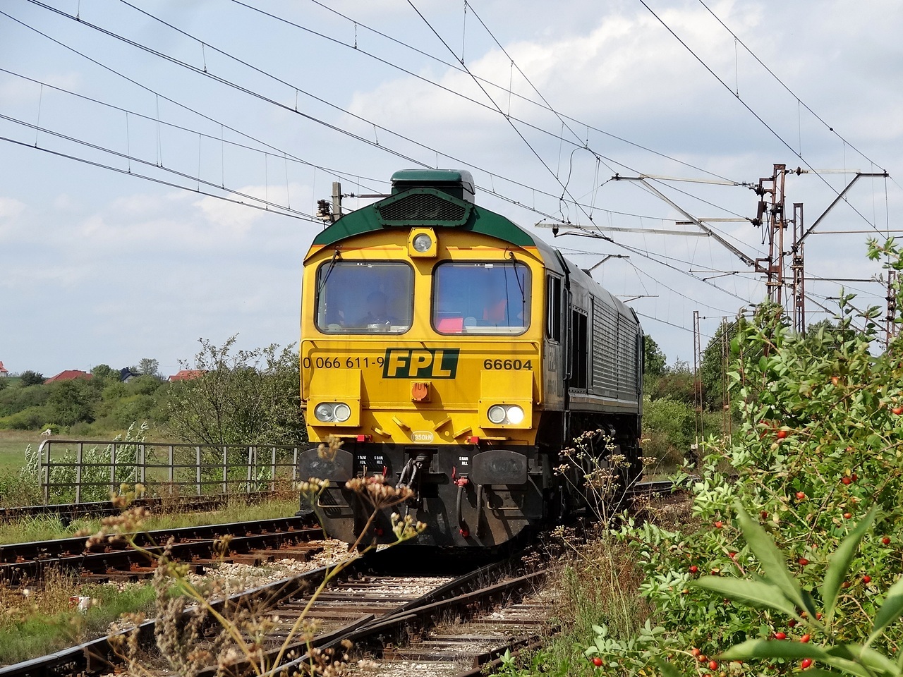 Class 66604 na pustej stacji Nida | Kolejowe Kielce