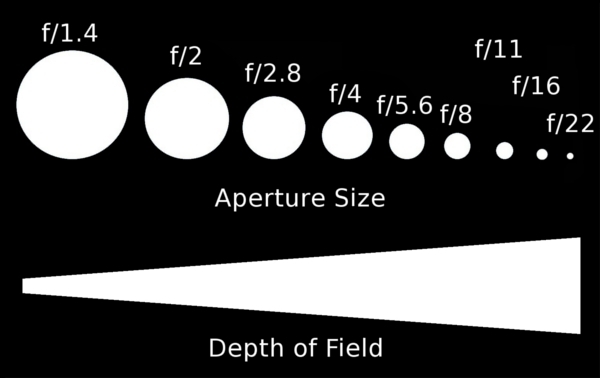 Photographing DSLR: Understanding Apertures
