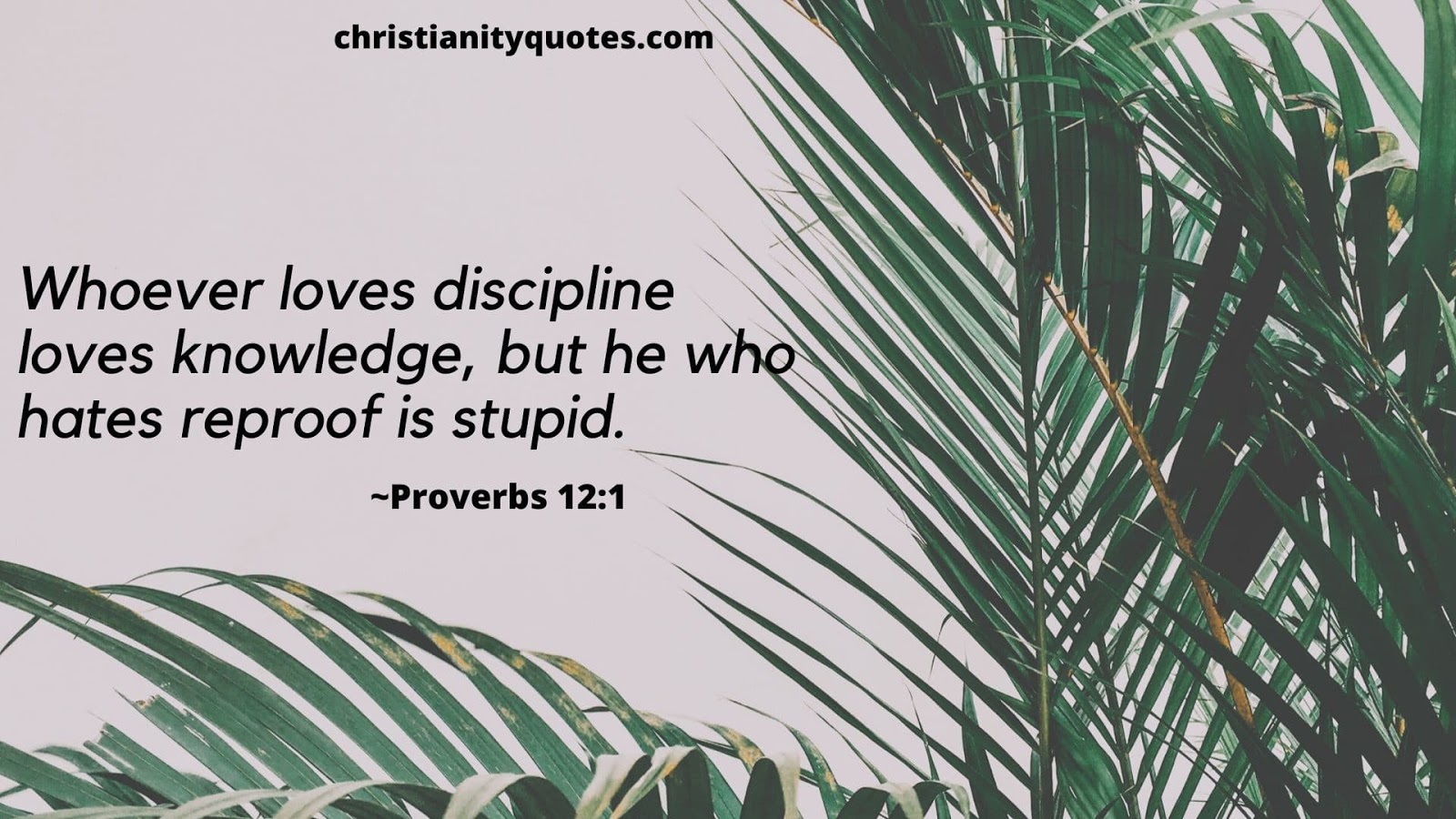 35+ Helpful Bible Verses About Discipline And Hard Work